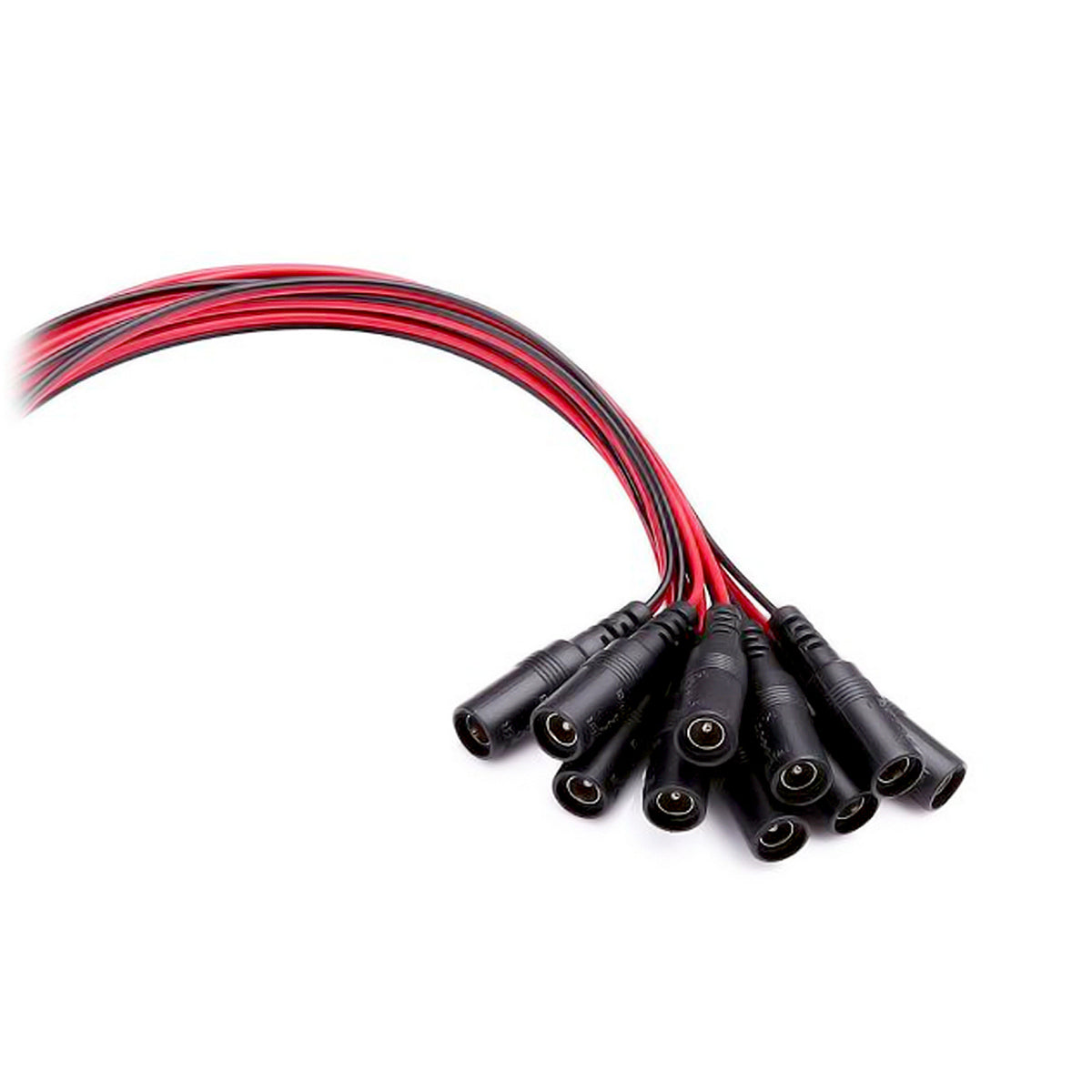 Acegear PIGTAILFEMALE.10PC Female Pig Tail Connector (10 Pack) — Blue ...